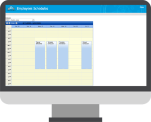 Time and Attendance System | TreeRing Workforce Solutions