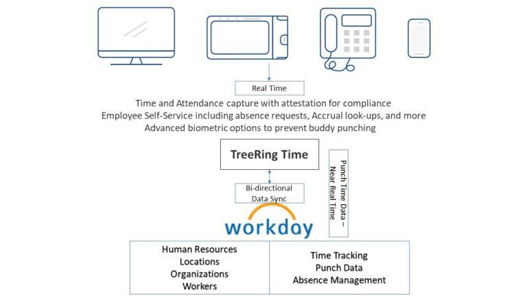 Mobile Time Tracking | TreeRing Workforce Solutions