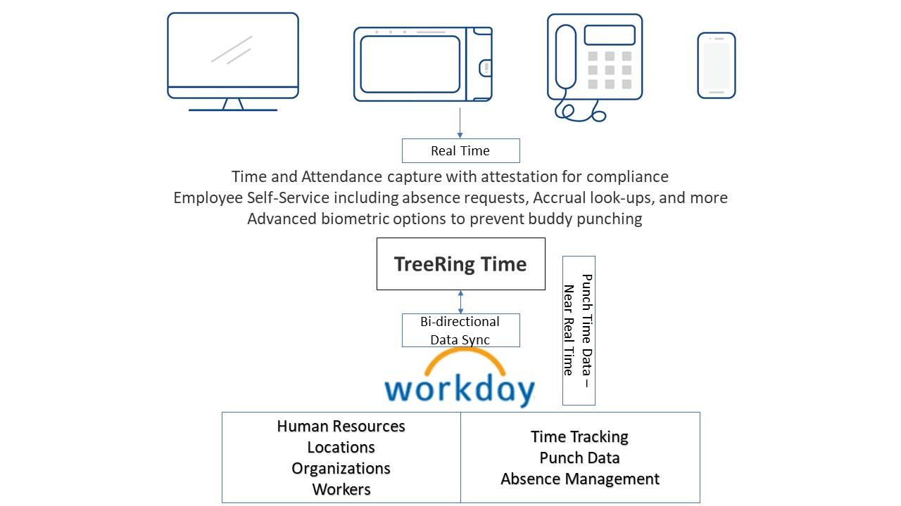 Mobile Time Tracking | TreeRing Workforce Solutions